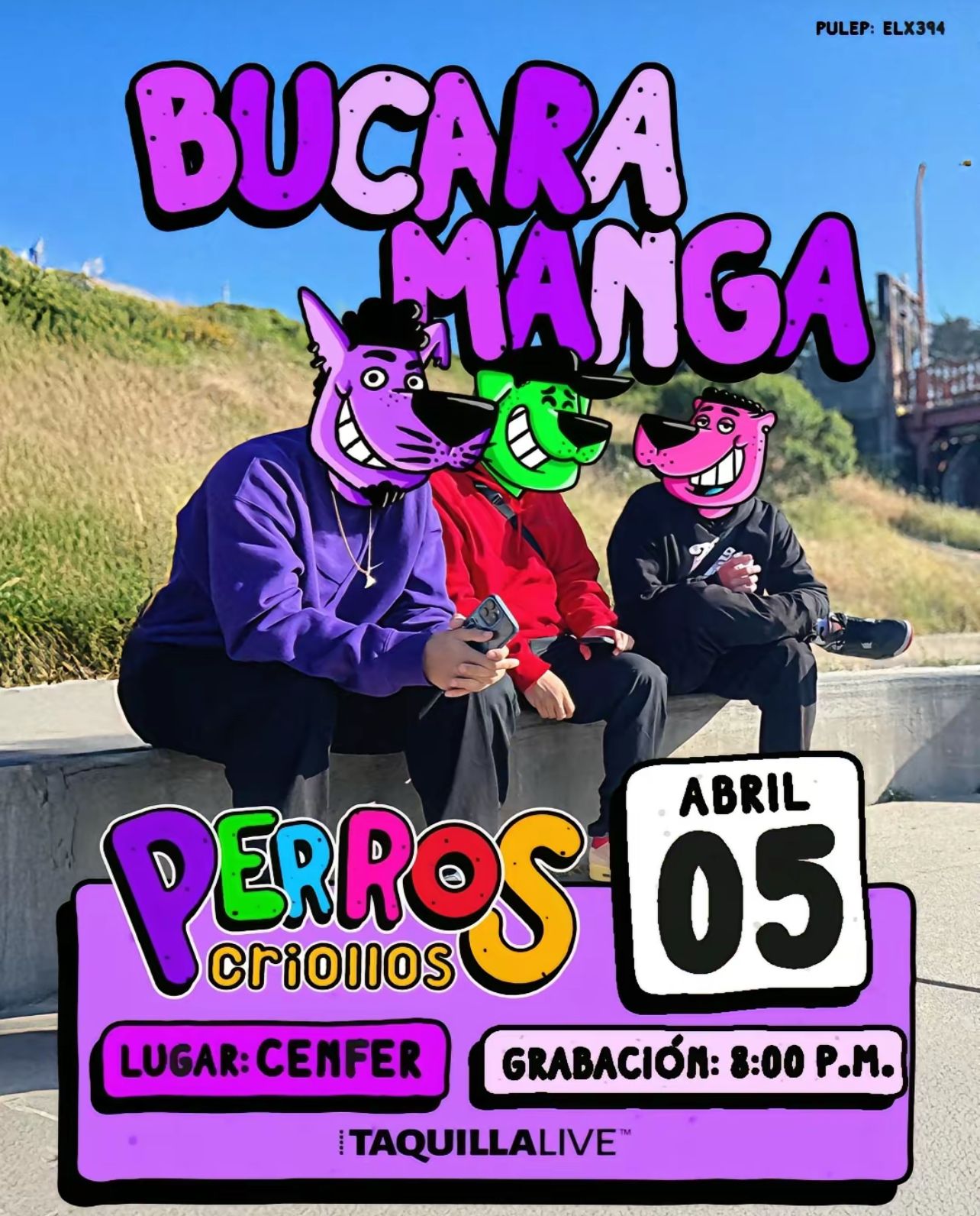 PERROS CRIOLLOS EN BUCARAMANGA | CENFER